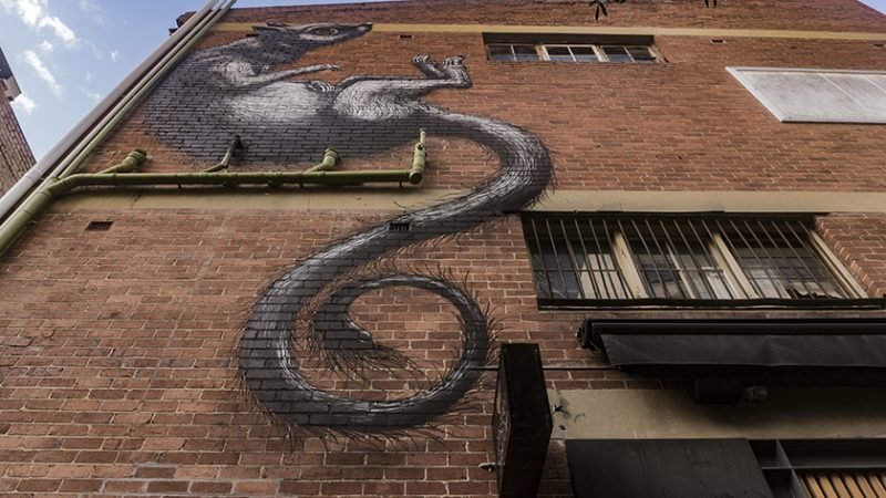 Where To Find The Street Art In Perth