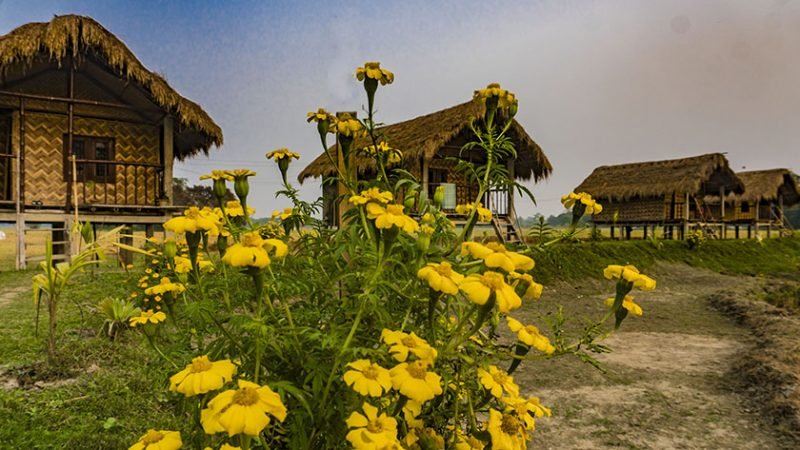 Majuli Island Photos: 16 Pictures To Complete Your Virtual Visit