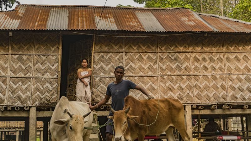 Majuli Island Photos: 16 Pictures To Complete Your Virtual Visit