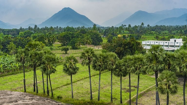 Padavedu Village, Tamil Nadu: Why You Need Visit This Town