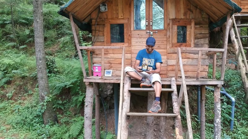 The Best Treehouse In Shimla - A Real Tree House Experience