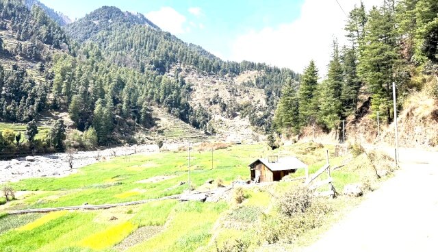 Barot Valley, Himachal Pradesh: A Complete Travel Guide