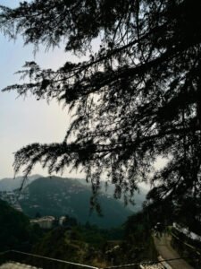 Landour Travel Guide (2026): Things To Do, Cafes, Walks & Hidden Gems